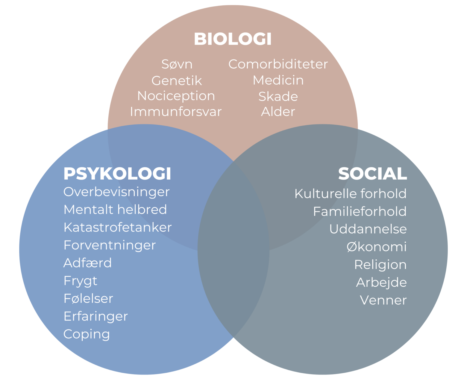 Forskningen bag | Smertefribevægelse