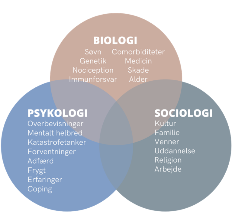 Metakognitiv terapi: Behandling af kroniske smerter | Smertefribevægelse